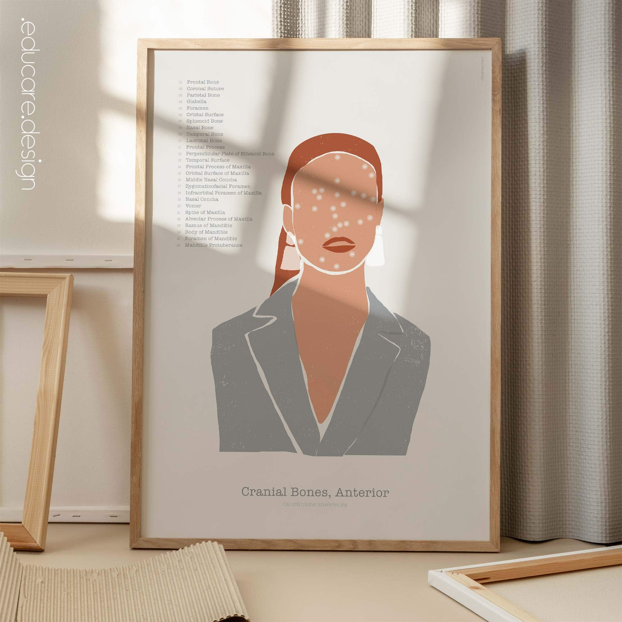 Abstract Anterior Cranial Bones » educare.design