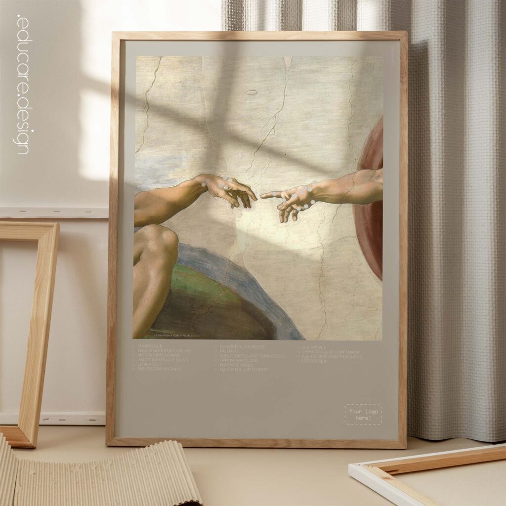 Creation of Adam & Hand Anatomy » educare.design