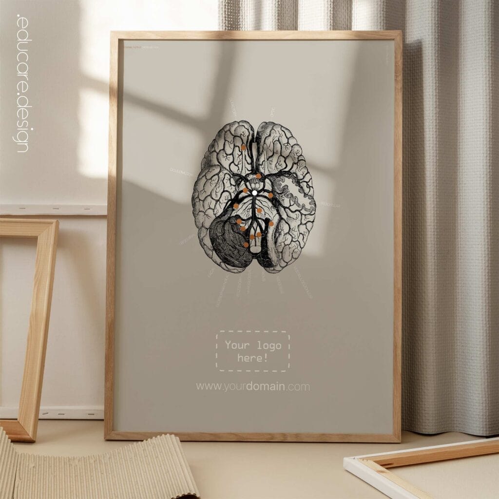 Vintage Cranial Nerves Anatomy » educare.design