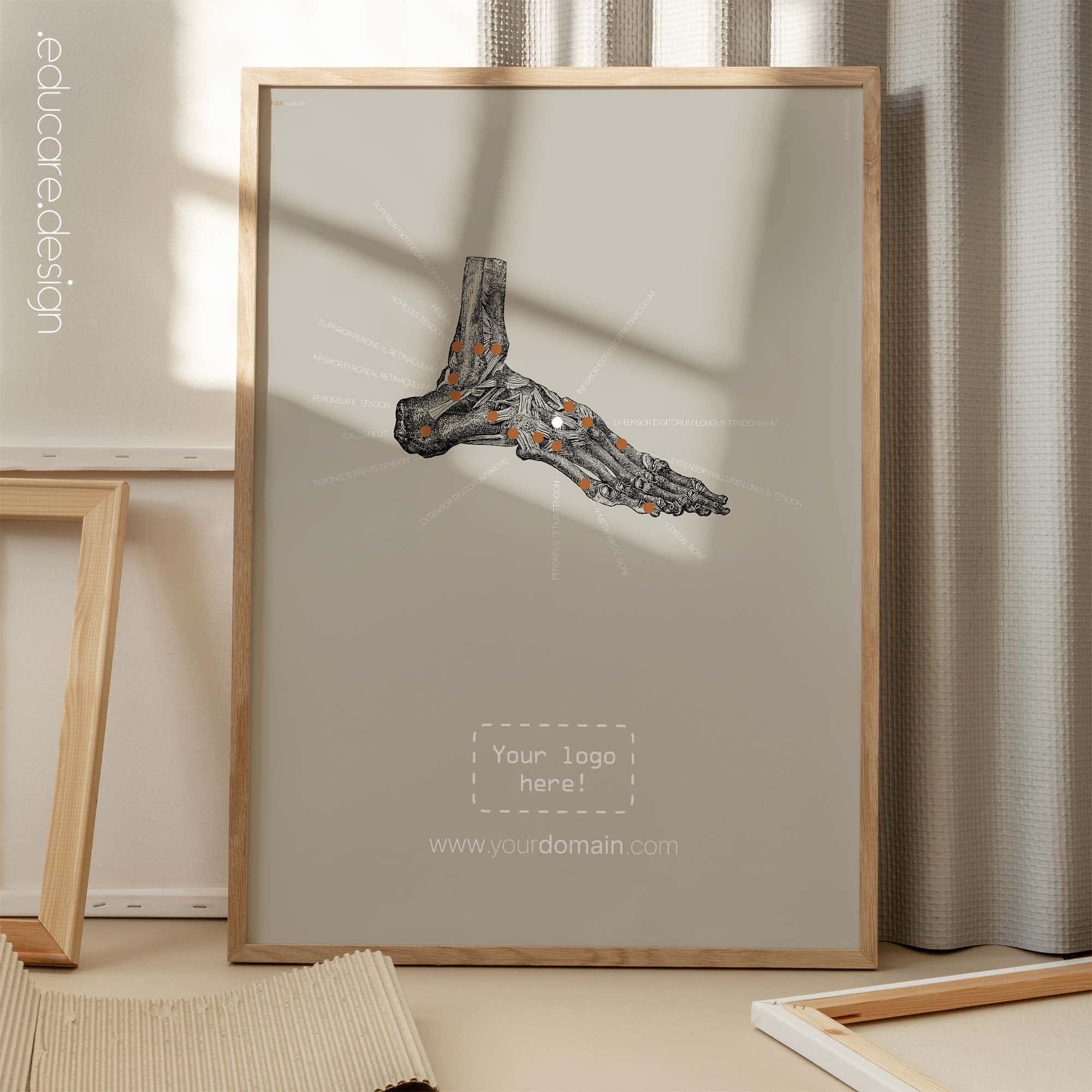 Get educated on Foot Anatomy with educare.design