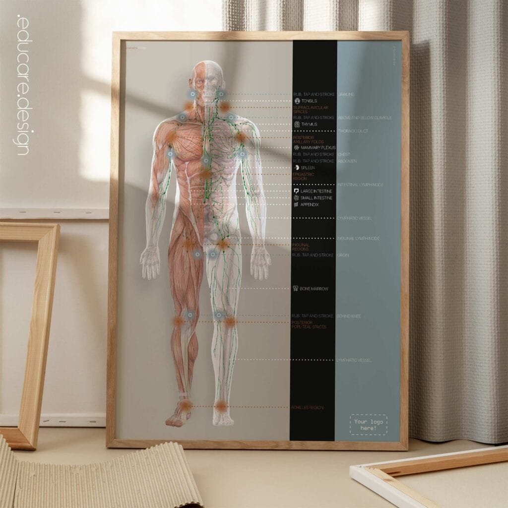 Forward Head Posture and Cranial Weight Chart » educare.design