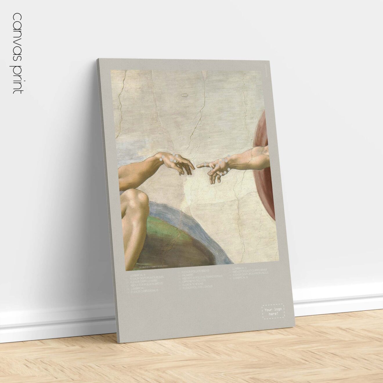 Creation of Adam & Hand Anatomy » educare.design