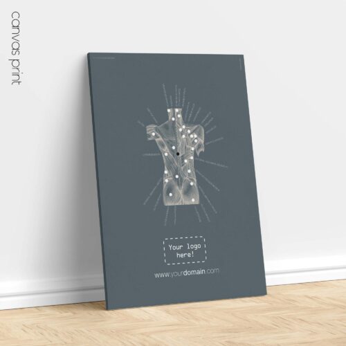 Back Muscles Anatomy Educare Design