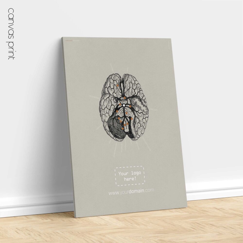 Cranial Nerves, Cross Section » educare.design