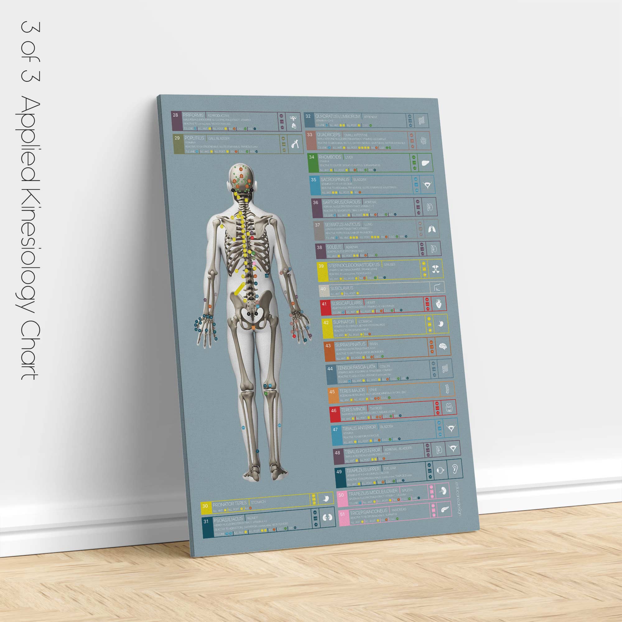 Applied Kinesiology Chart Lay People Learning To Stand With