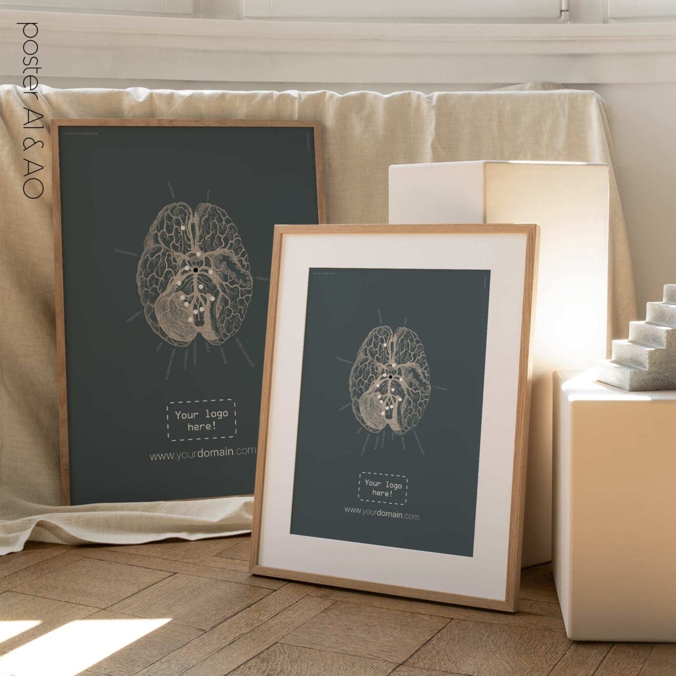 Cranial Nerves, Cross Section » educare.design