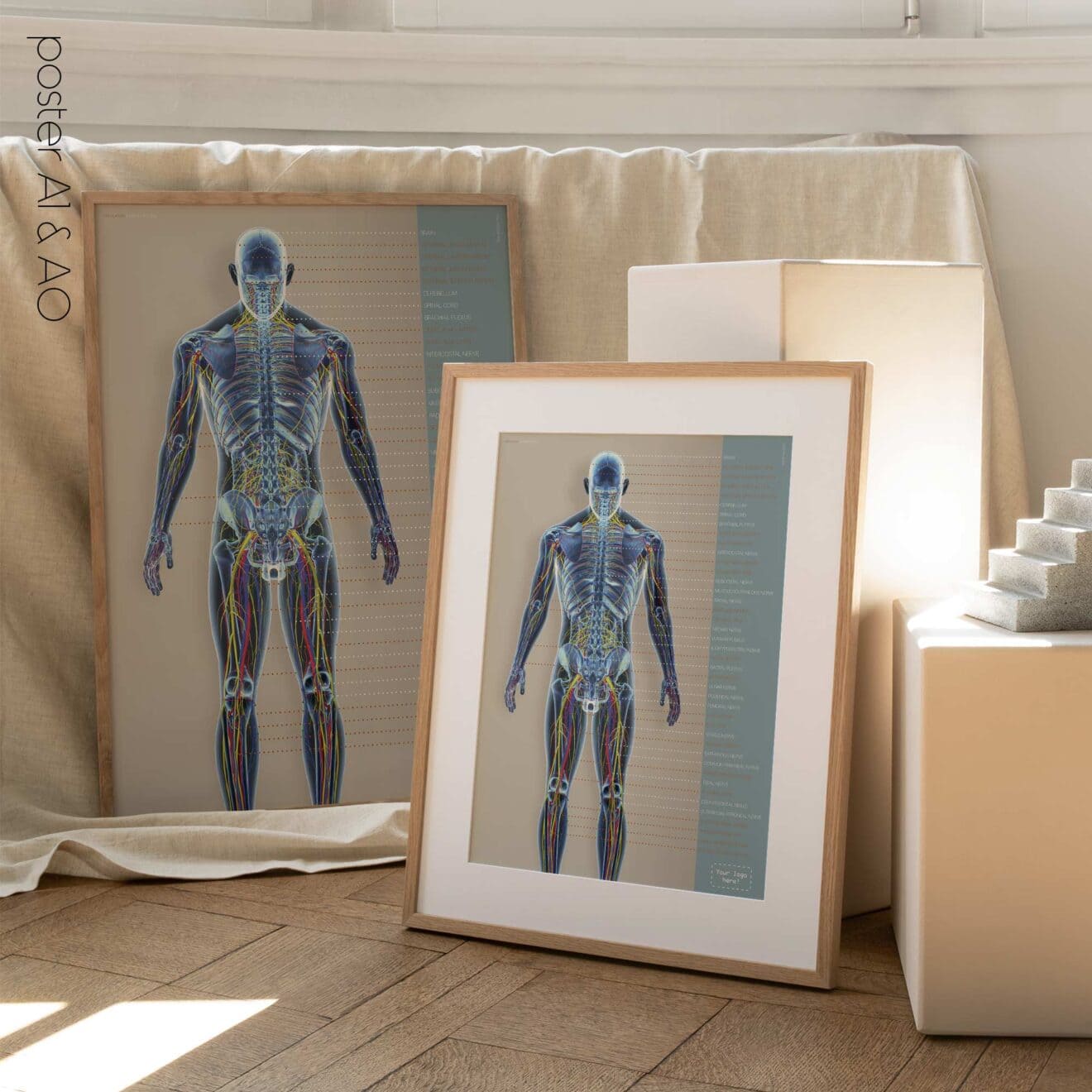 Circulatory and Nerves Systems » educare.design