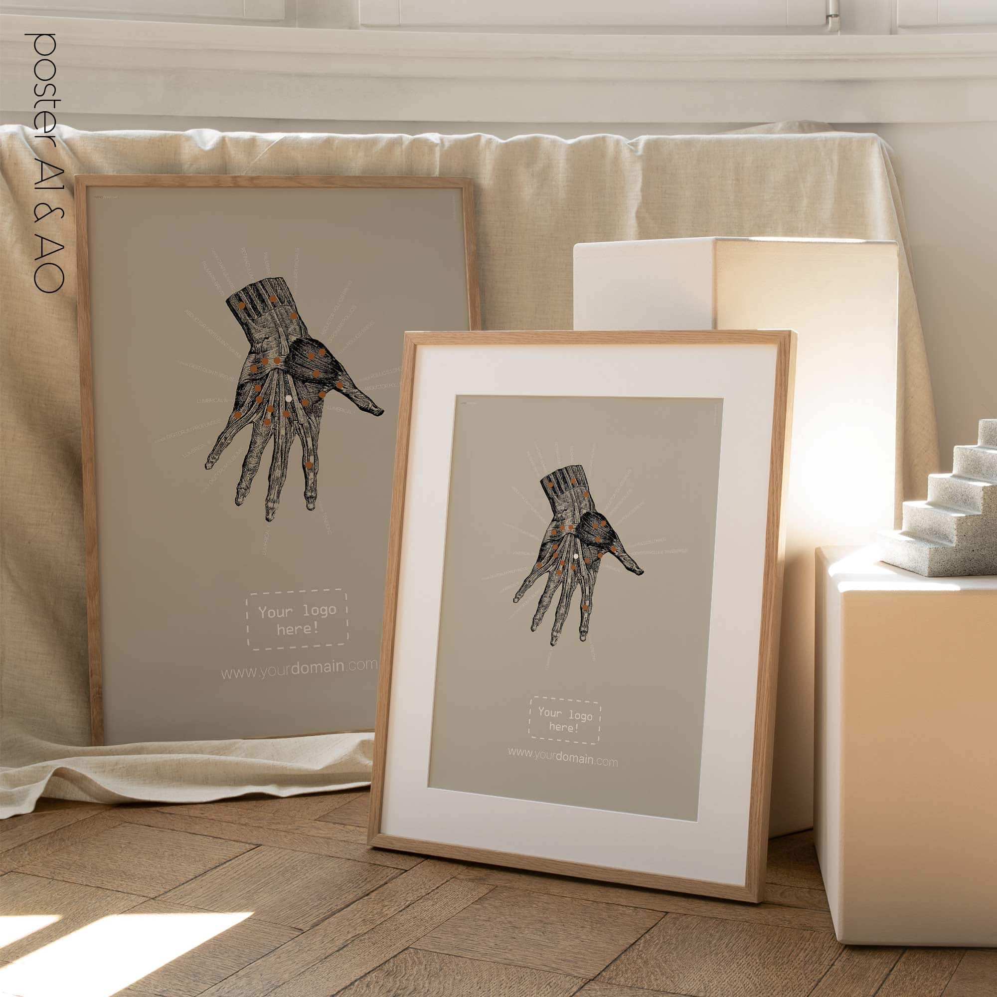 04 grey hand anatomy