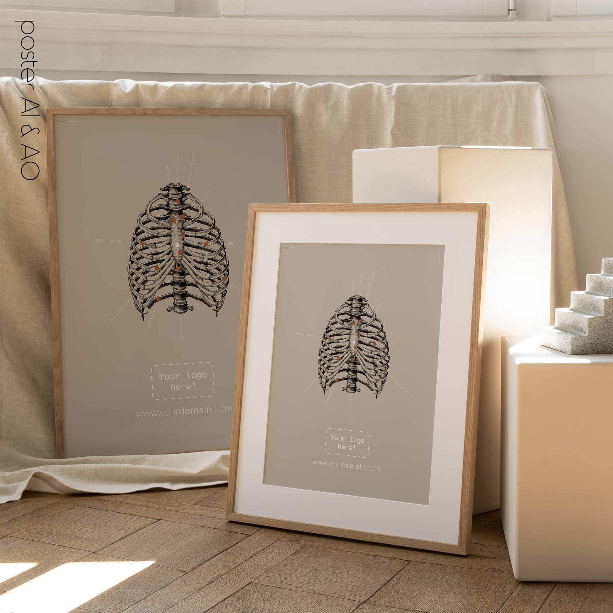 04 grey rib cage