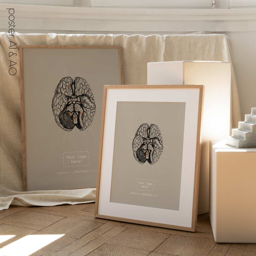 Cranial Nerves, Cross Section » educare.design