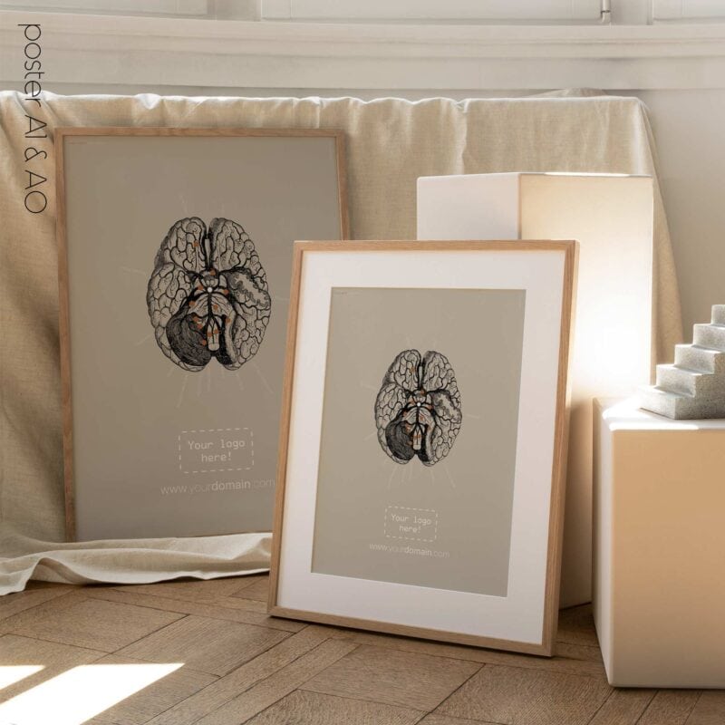 Cranial Nerves, Cross Section » educare.design