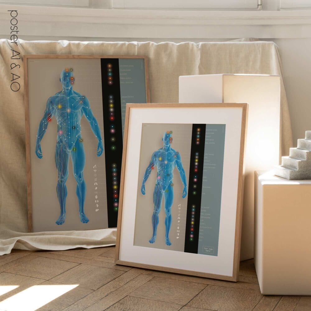 Meridian Channels » educare.design