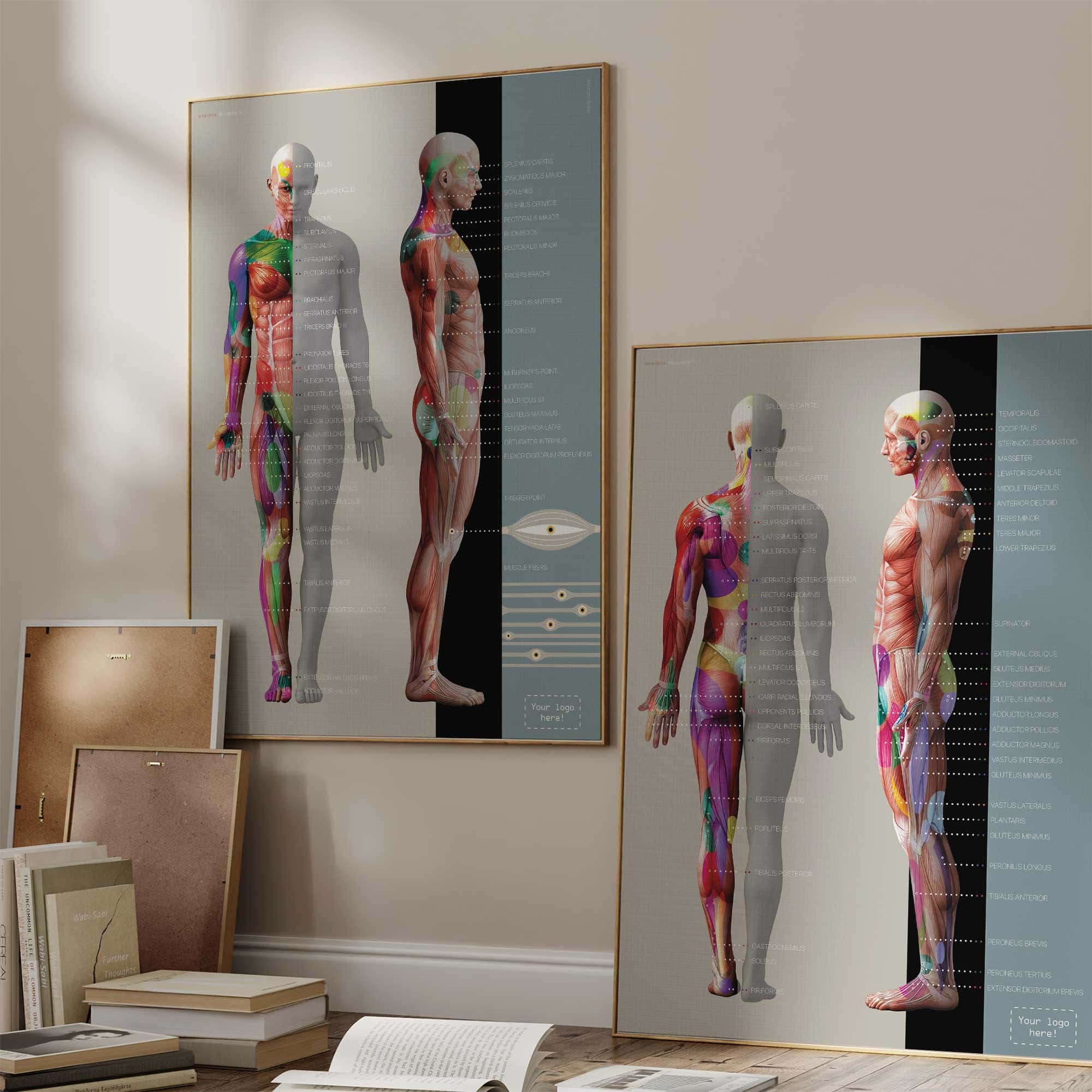 The Myofascial Trigger Points Set — Preview