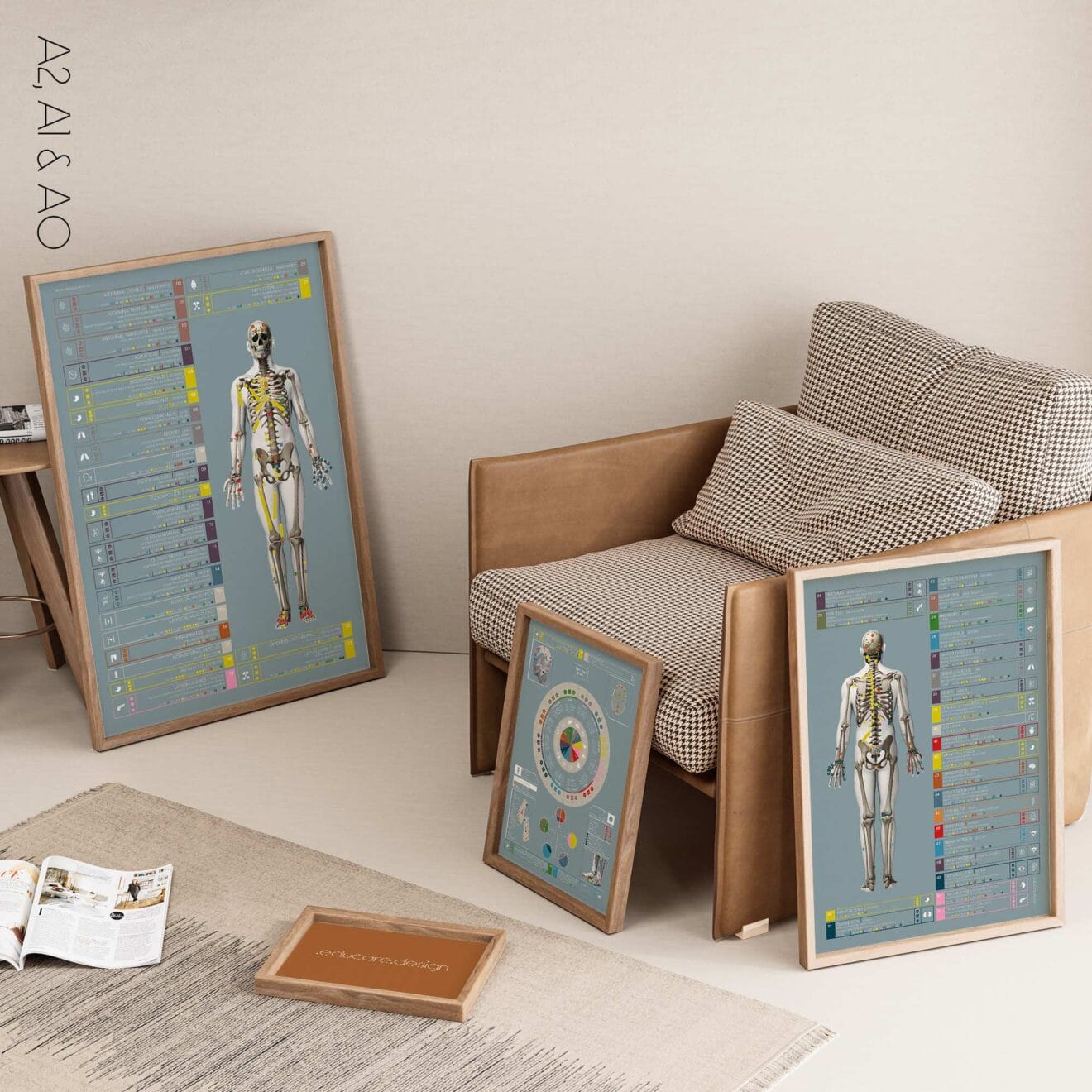 Applied Kinesiology Chart, set of 3 » educare.design