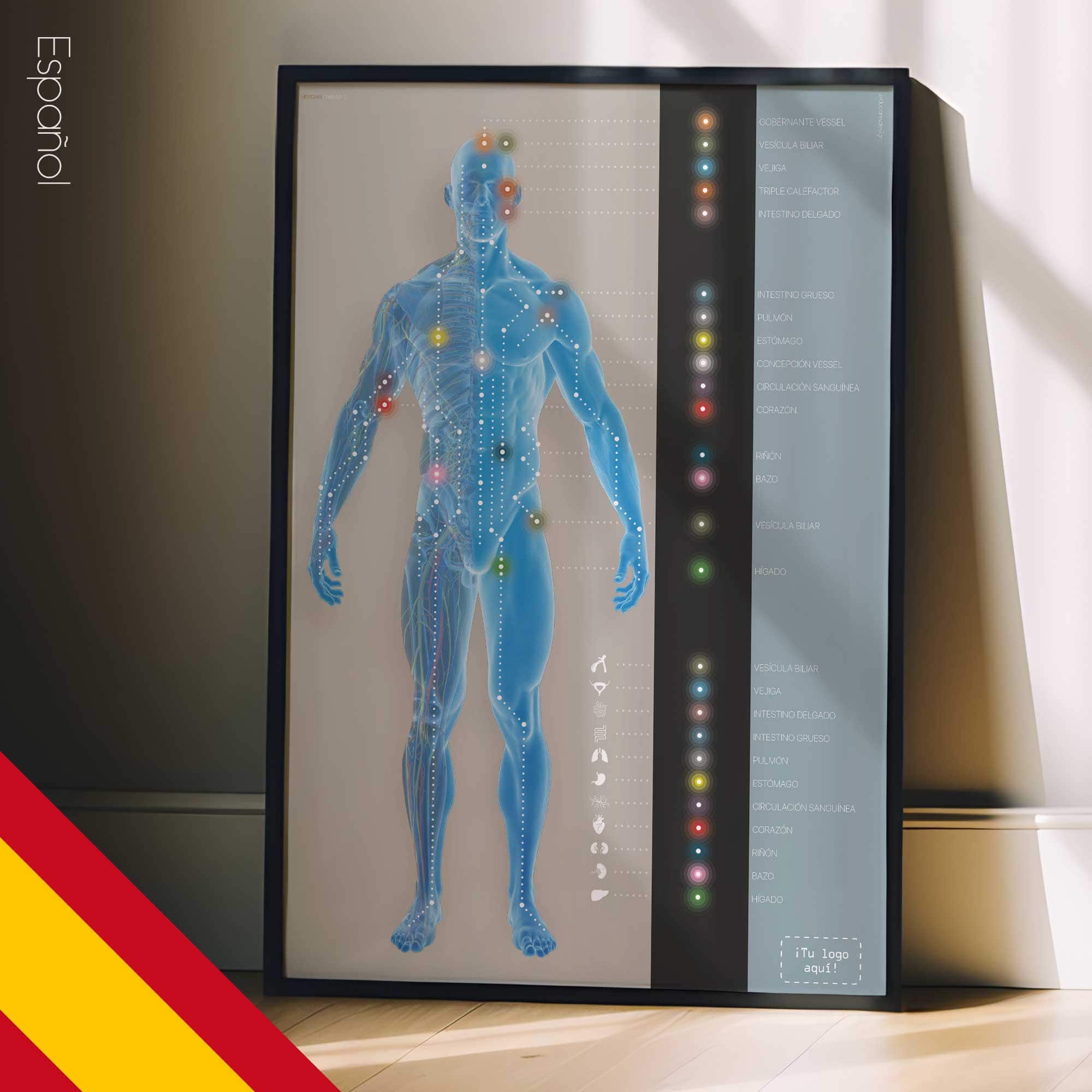 Canales Meridianos » educare.design