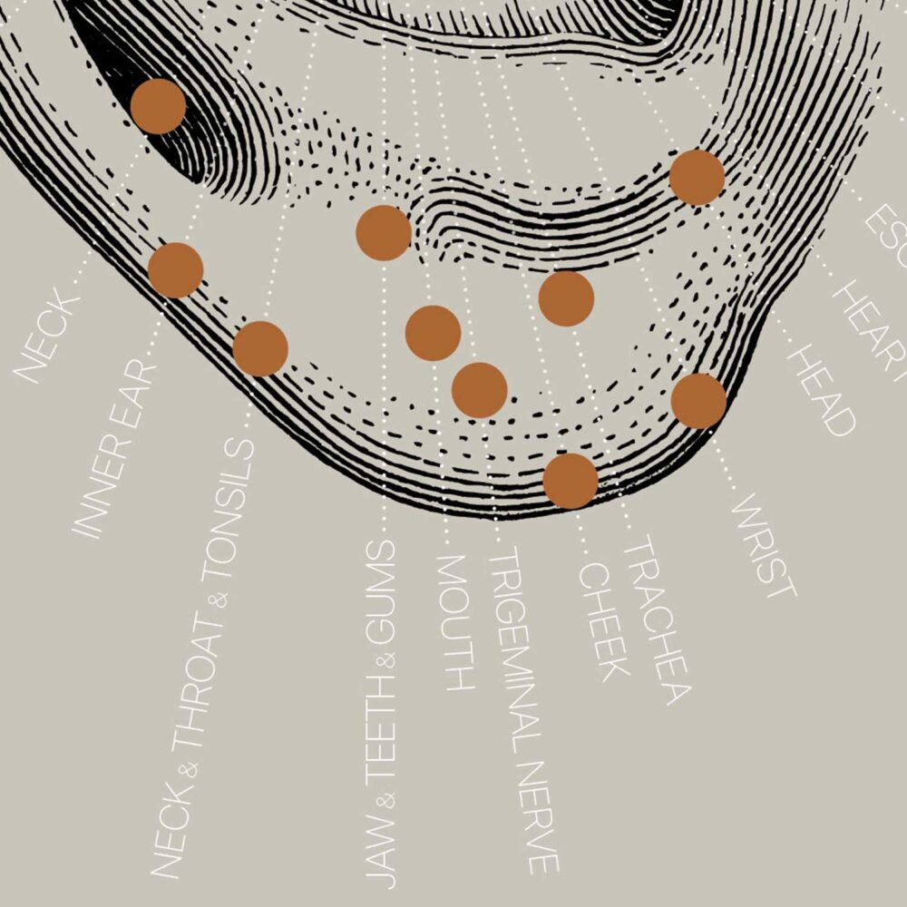 Vintage Reflexology Chart Ear » educare.design