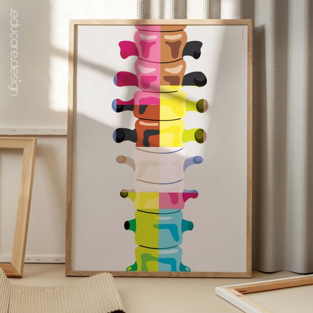 Thorlum Anatomy Pop Art » educare.design