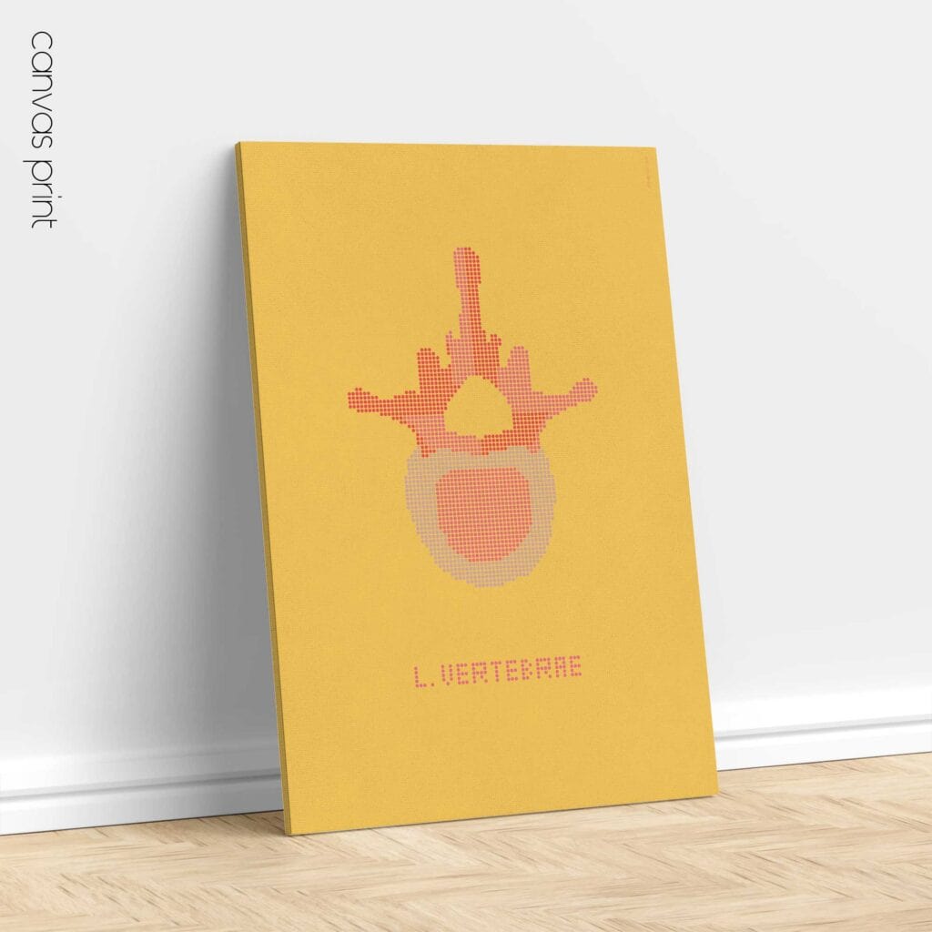 Lumbar Vertebrae Pop Art » educare.design