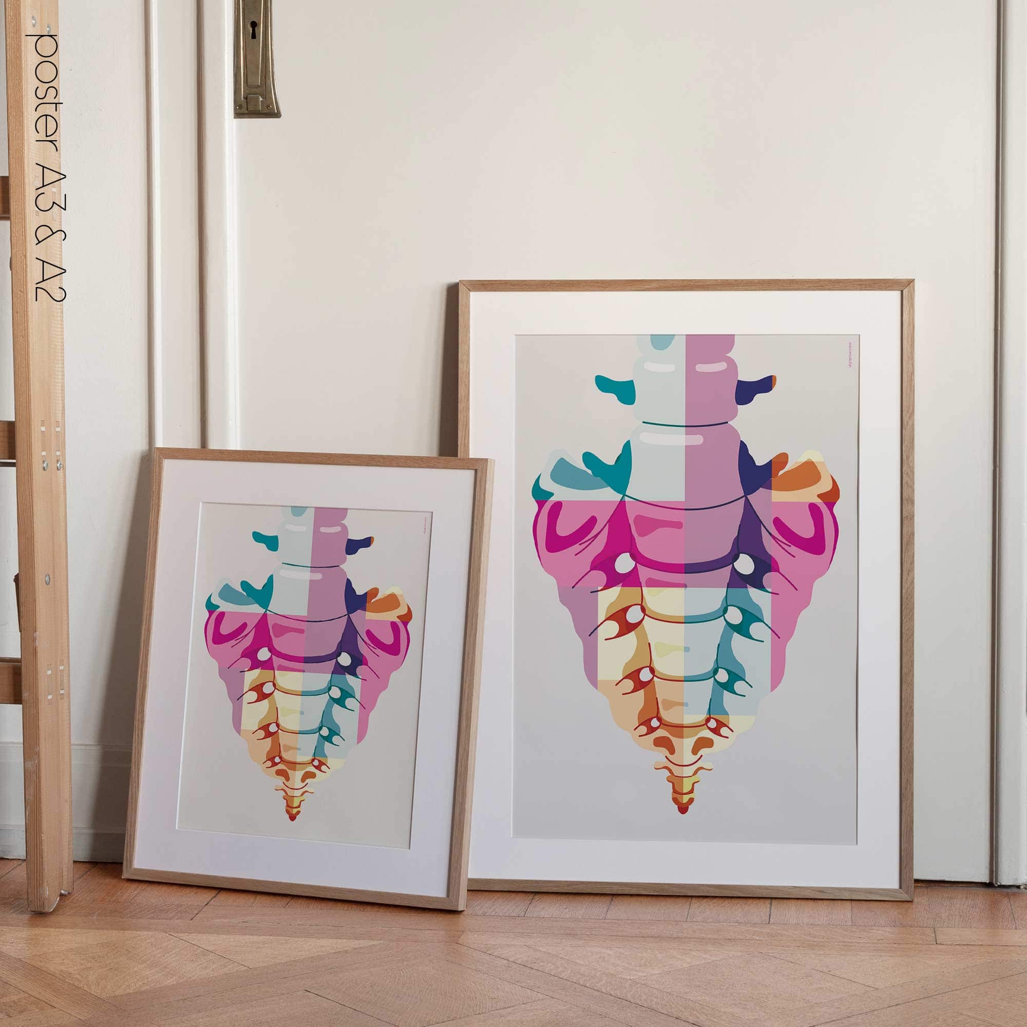 Sacrum Anatomy Pop Art » educare.design