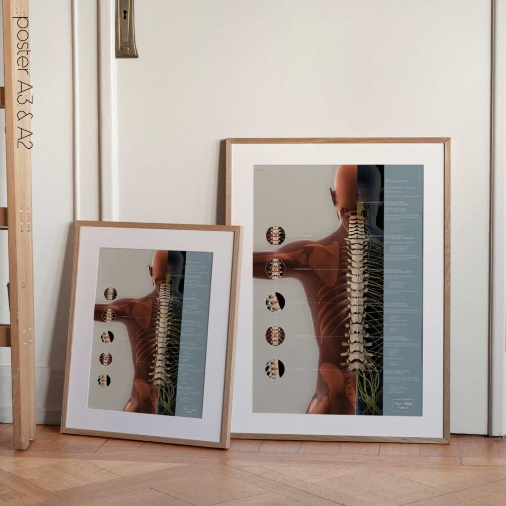 Vertebral Subluxation Complex » educare.design