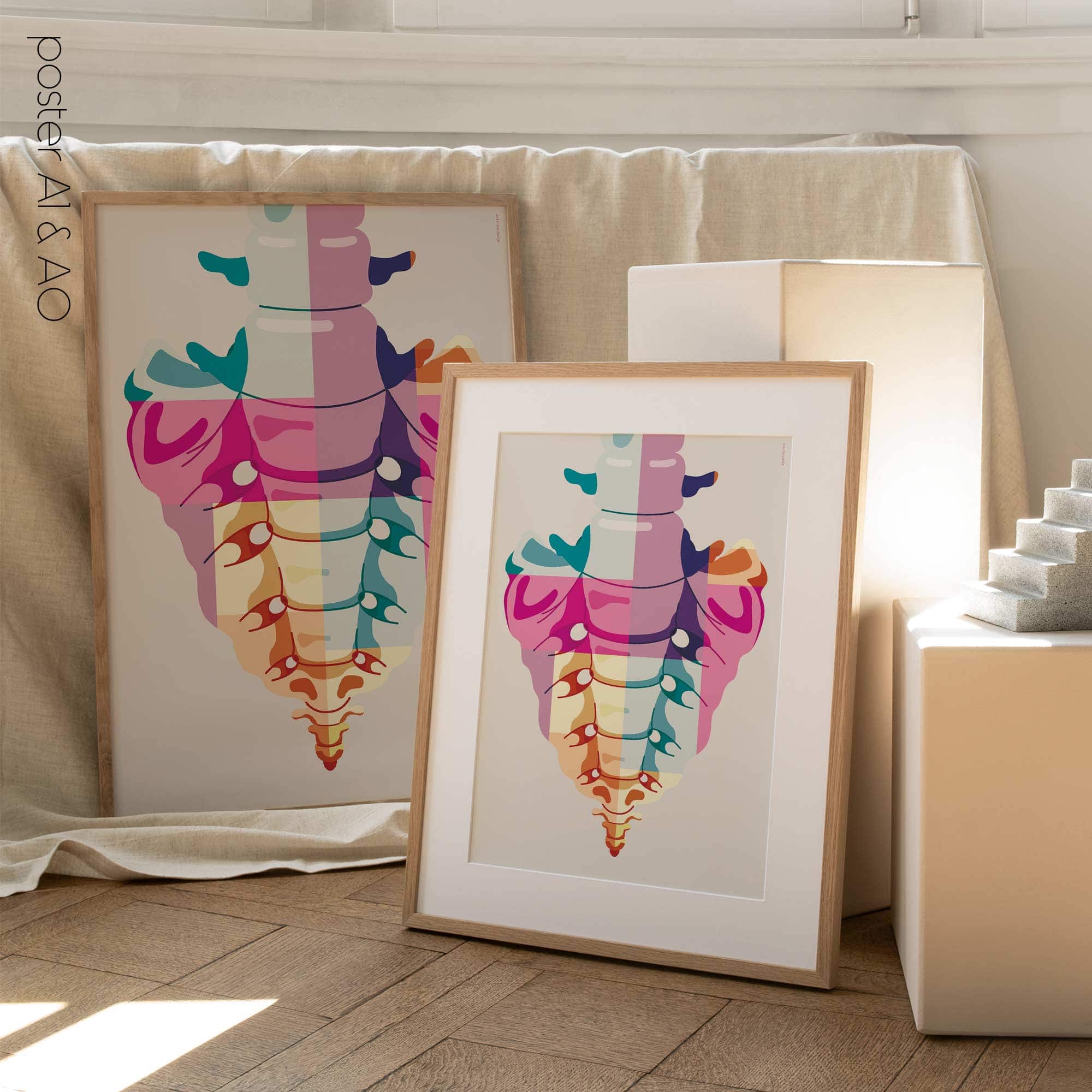 Sacrum Anatomy Pop Art » educare.design