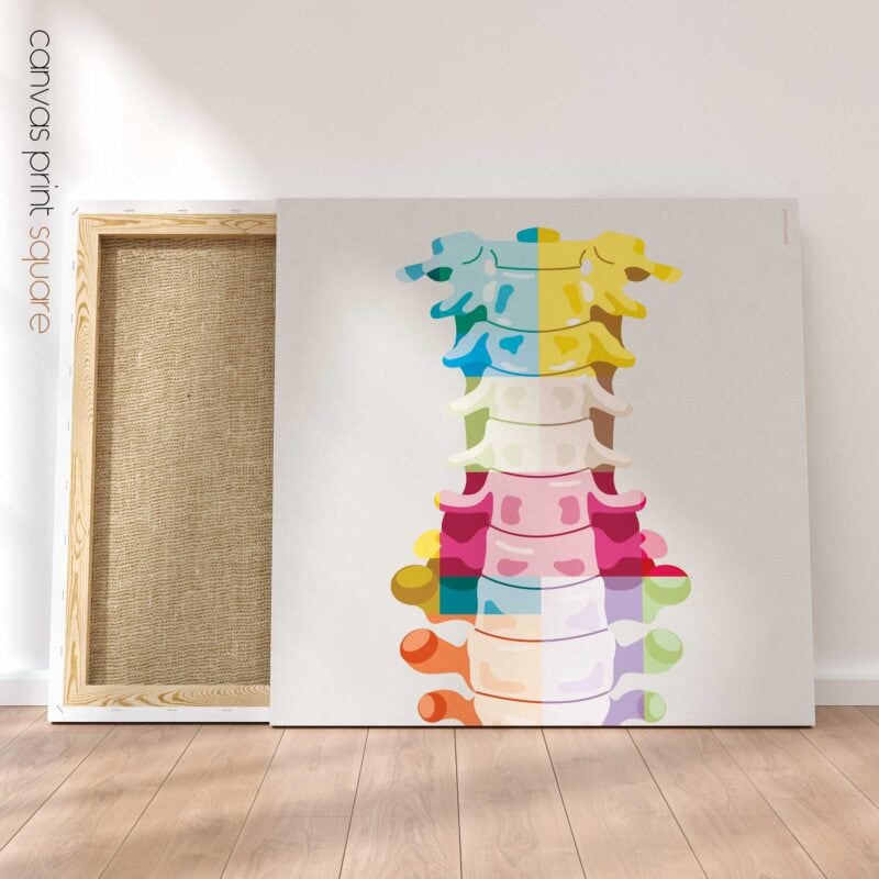 Cervical Anatomy Pop Art » educare.design