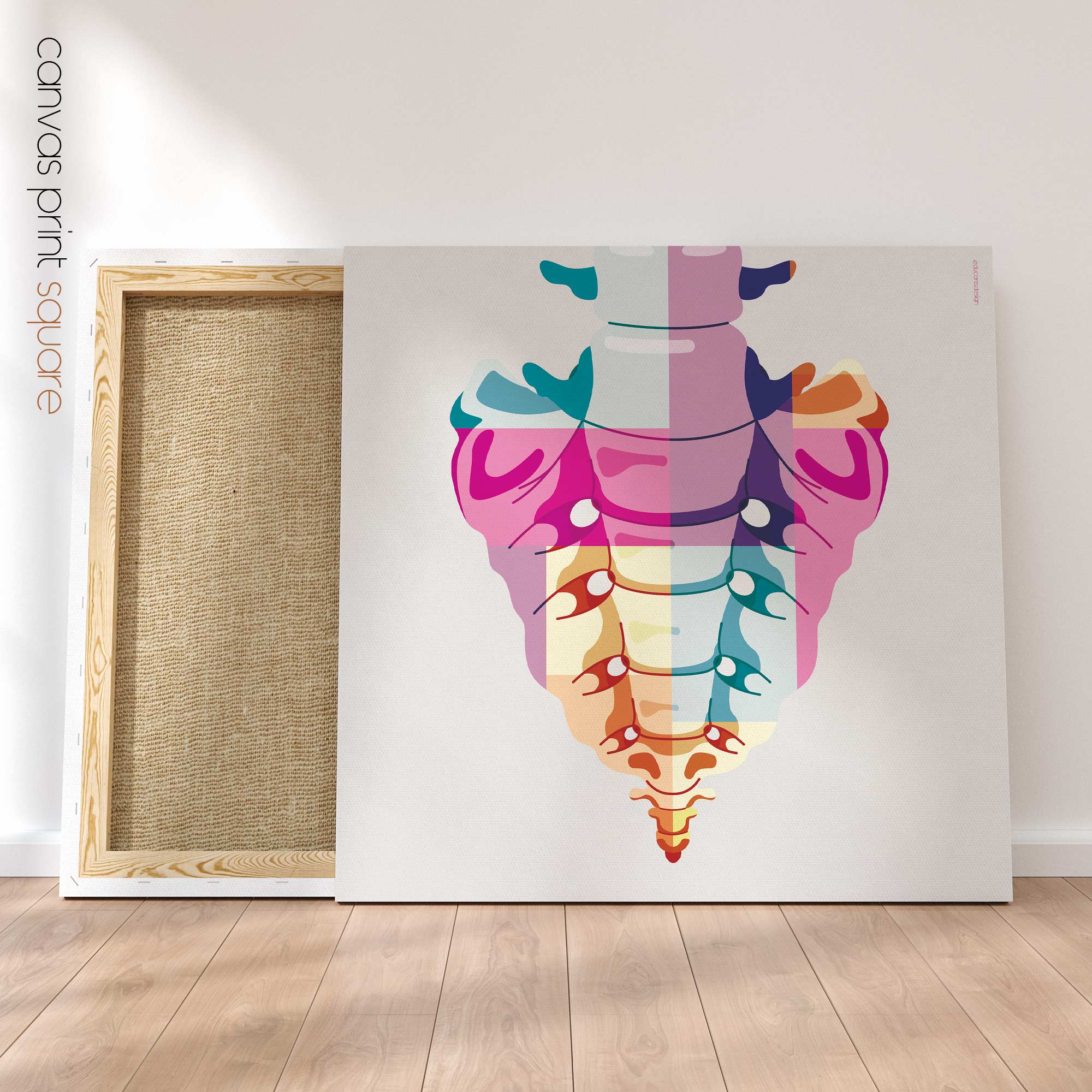 Sacrum Anatomy Pop Art » educare.design