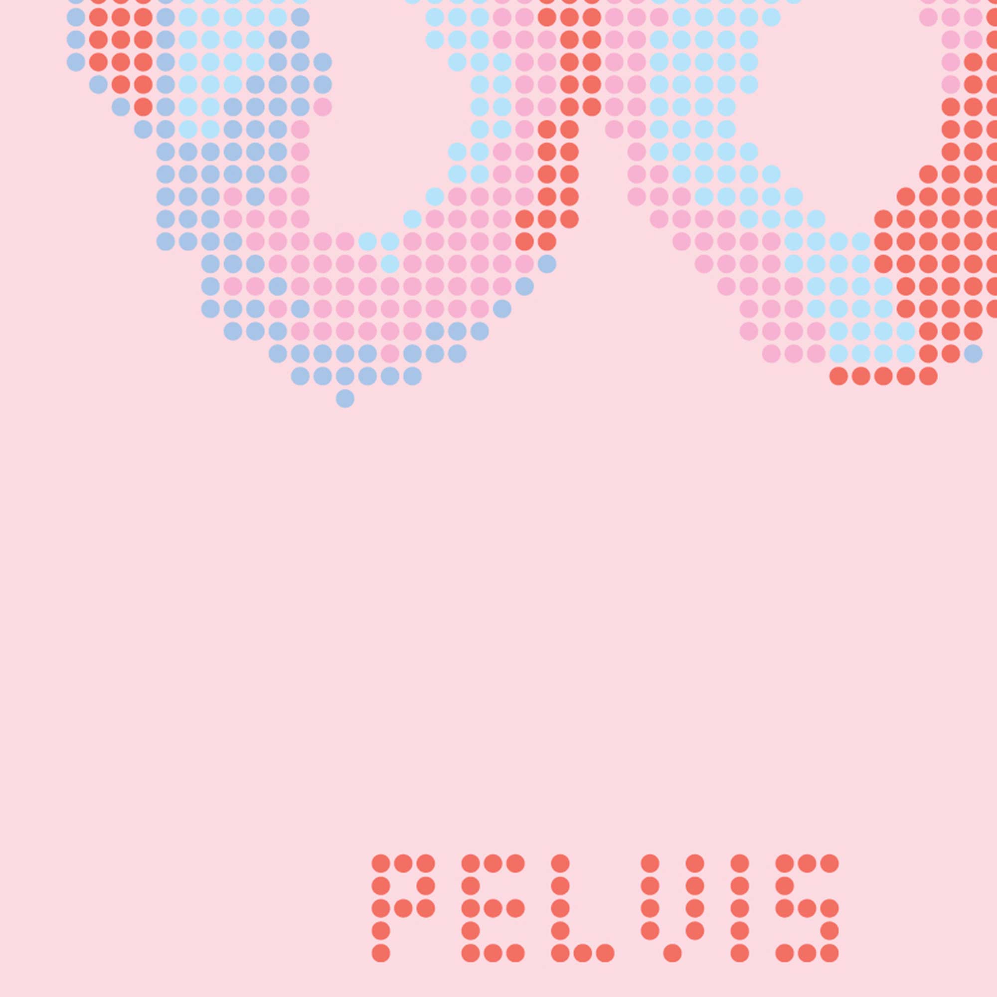 Pelvis Pop Art » educare.design