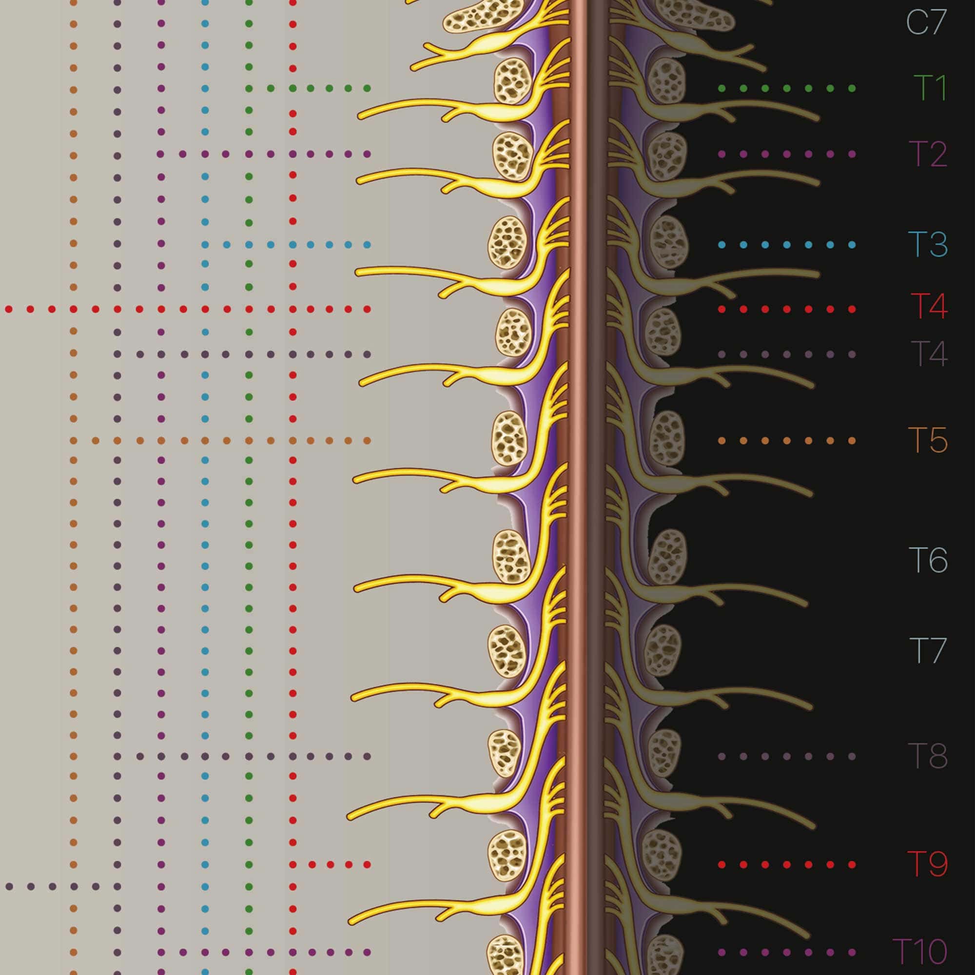 Our clinic and Zone Technique