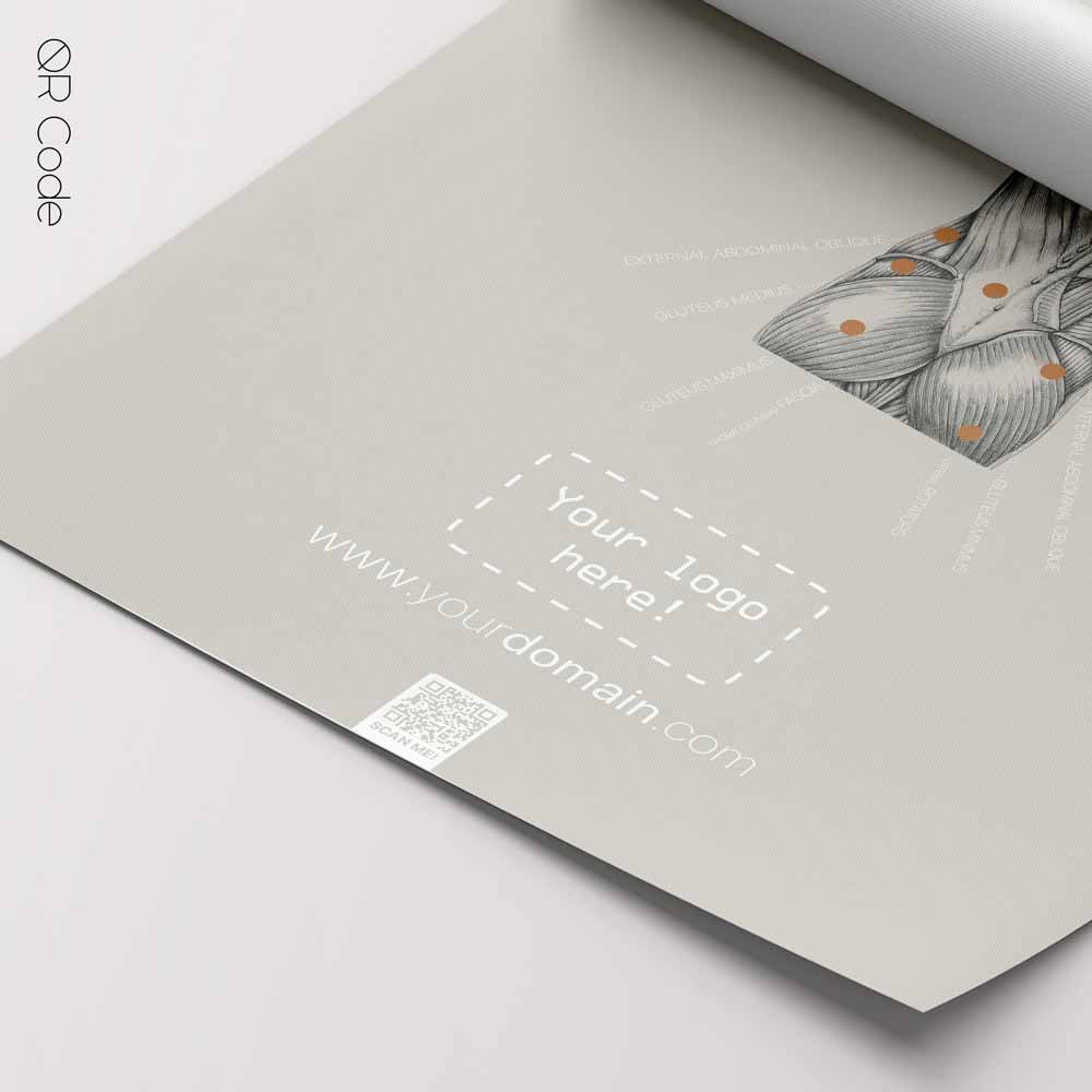 10 grey back muscles QR — Preview