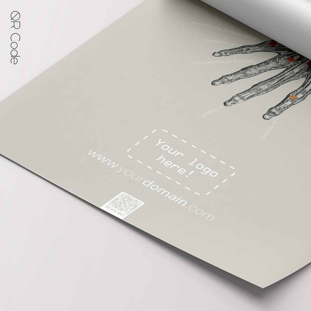 10 grey hand anatomy QR — Preview