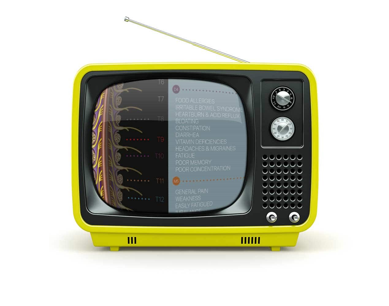 Video of Zone Technique » educare.design