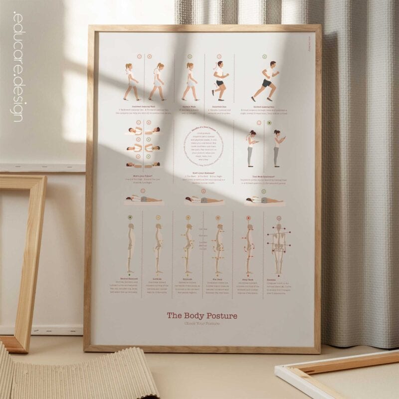 The Posture Poster Artwork » educare.design