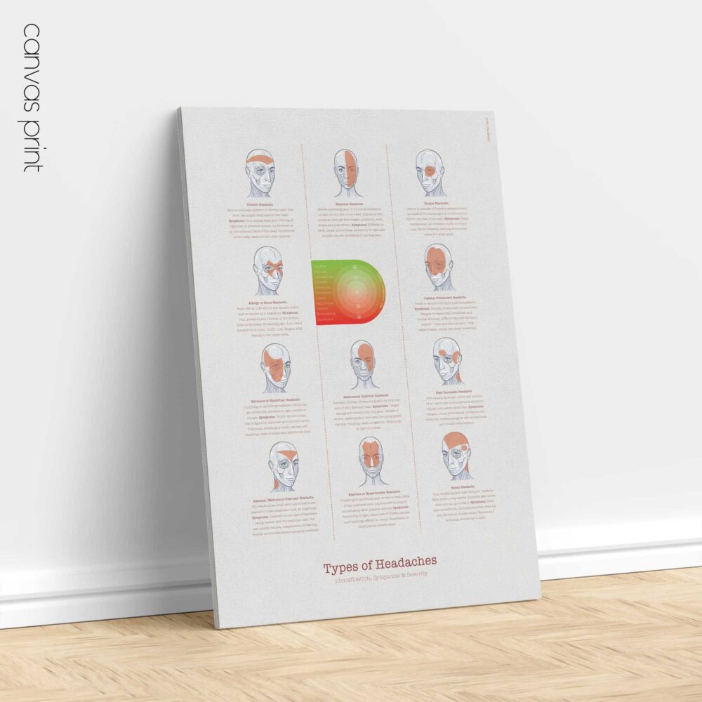 Types of Headaches » educare.design