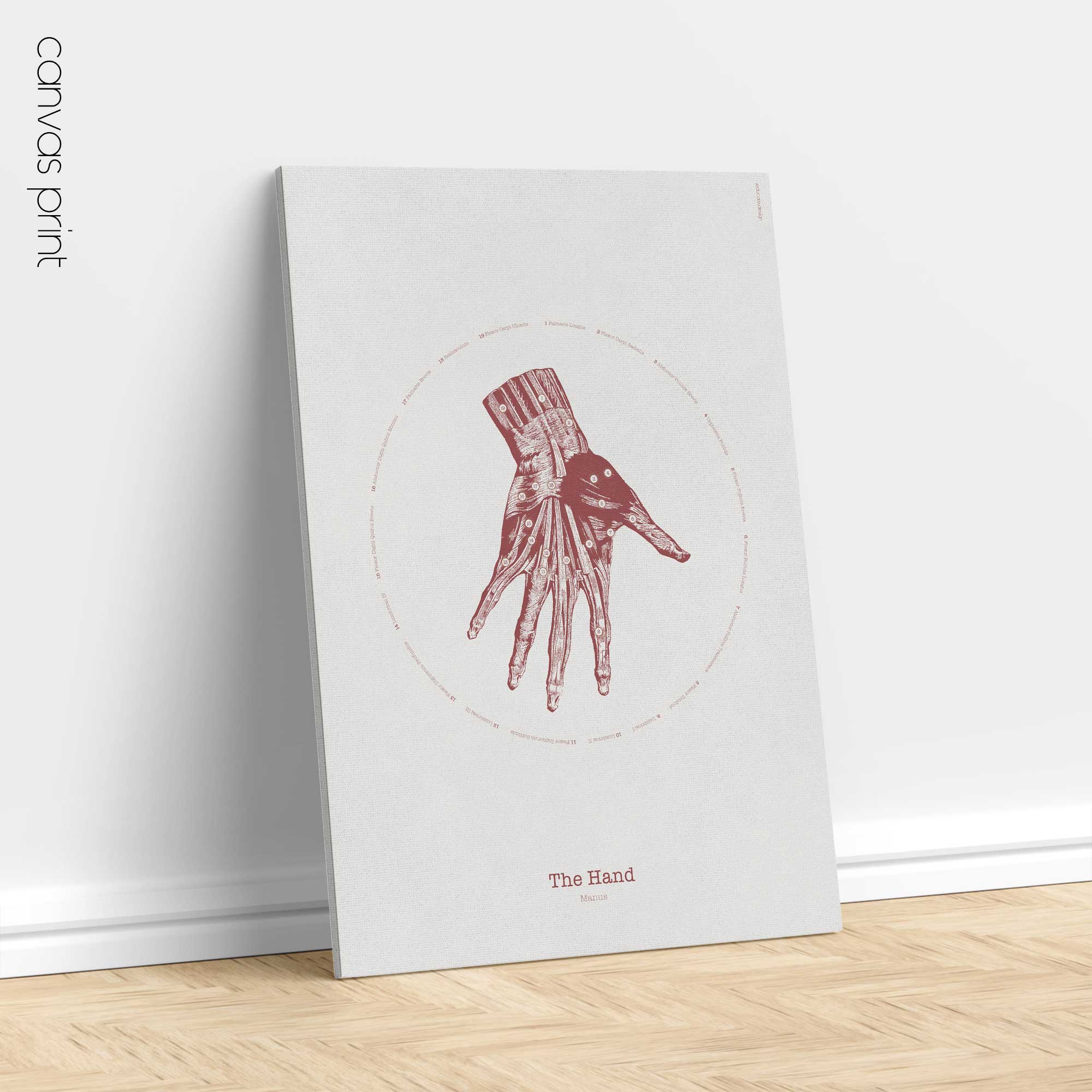 02 rust hand — Preview