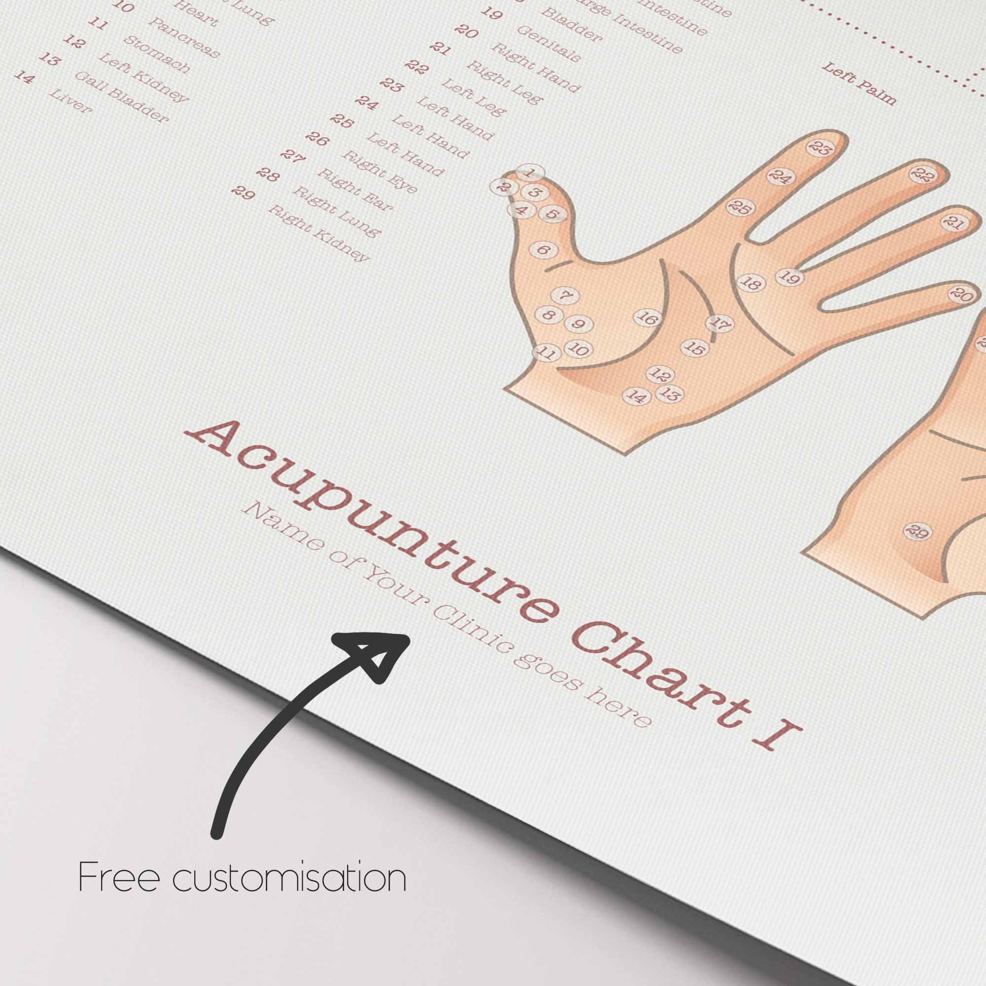 05 Acupunture Chart Set