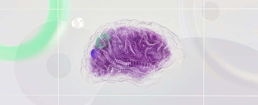 Understanding the Autonomic Nervous System » educare.design