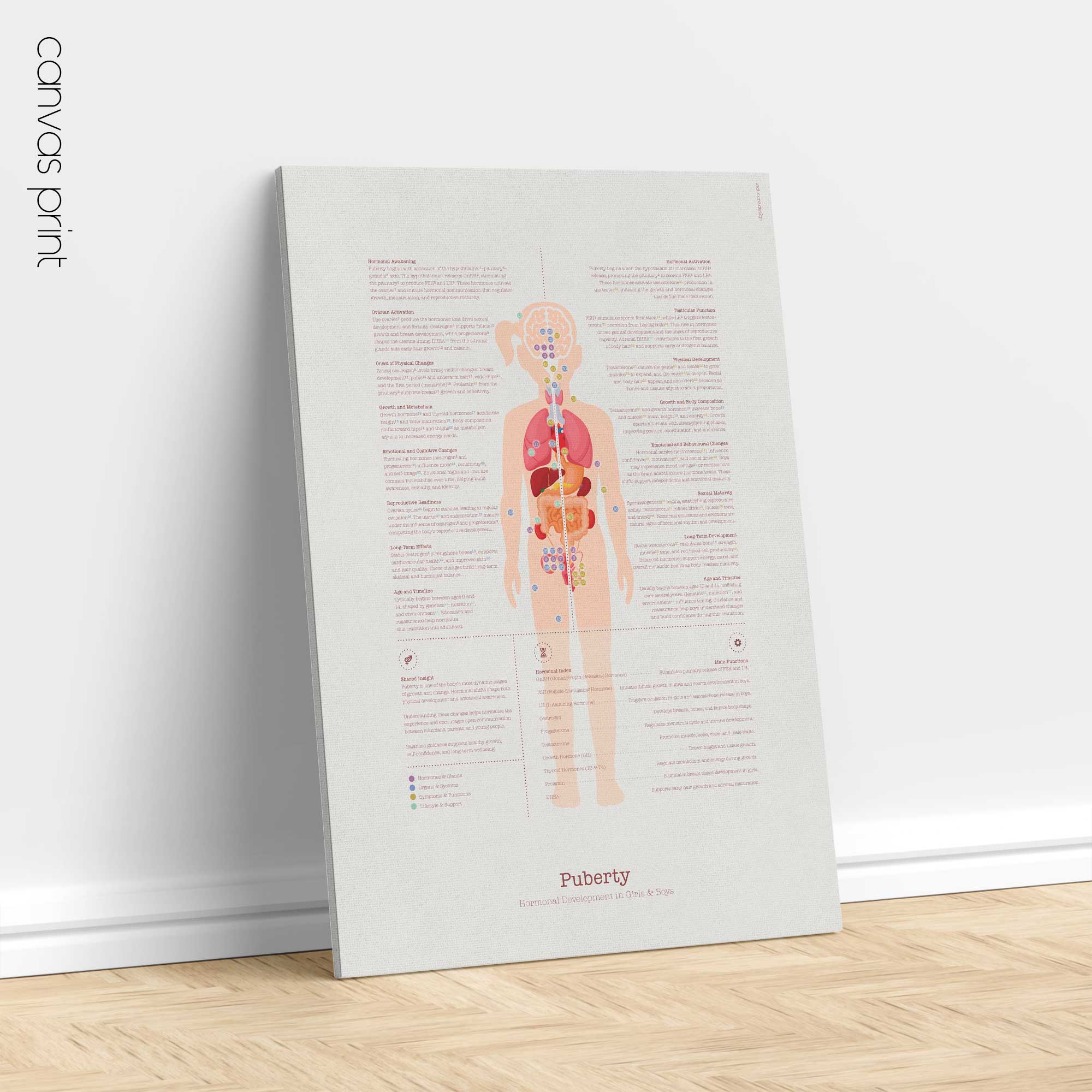 Puberty — Preview